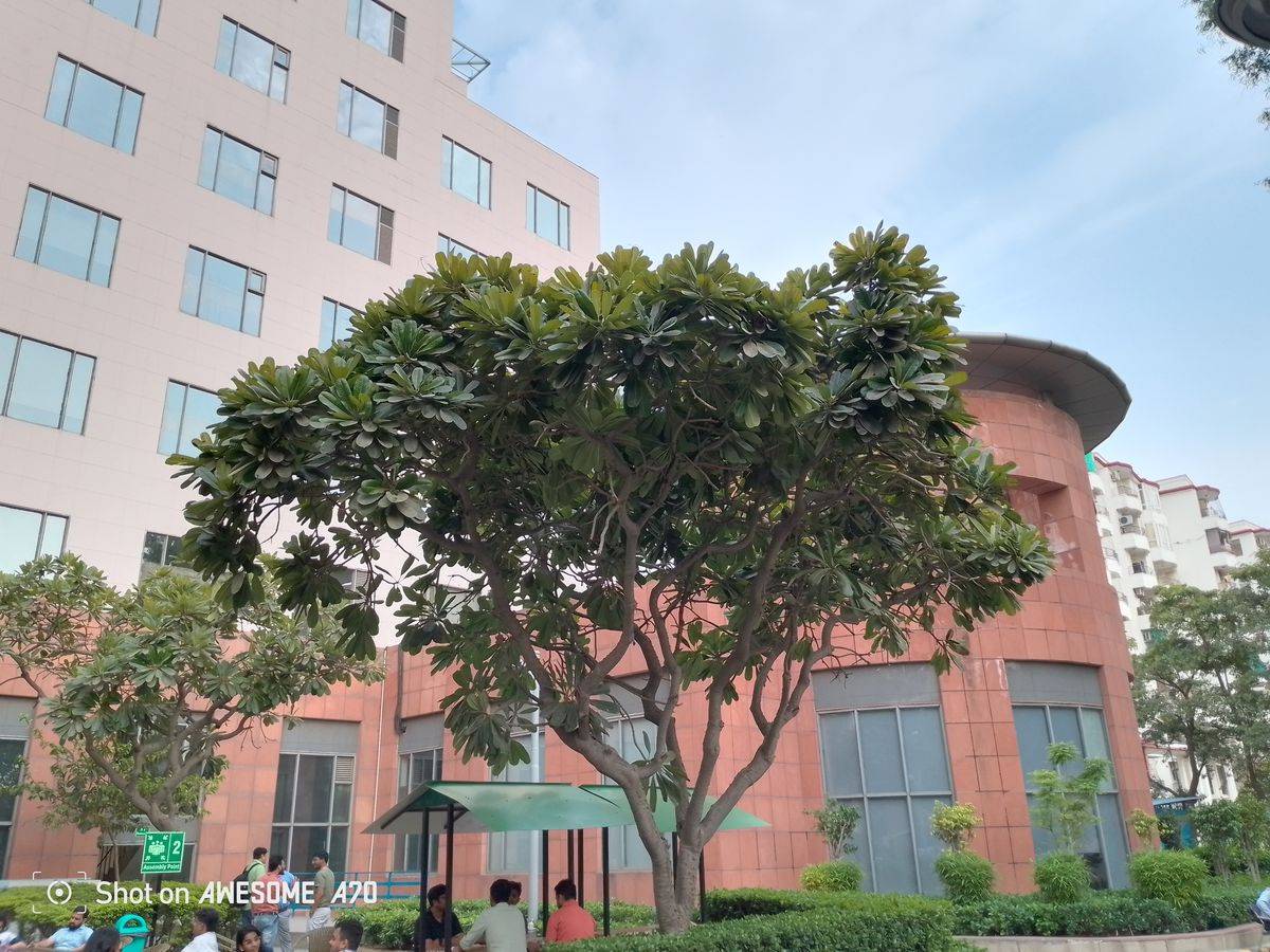 Itel A70 Review - Pros and cons, Verdict | 91Mobiles