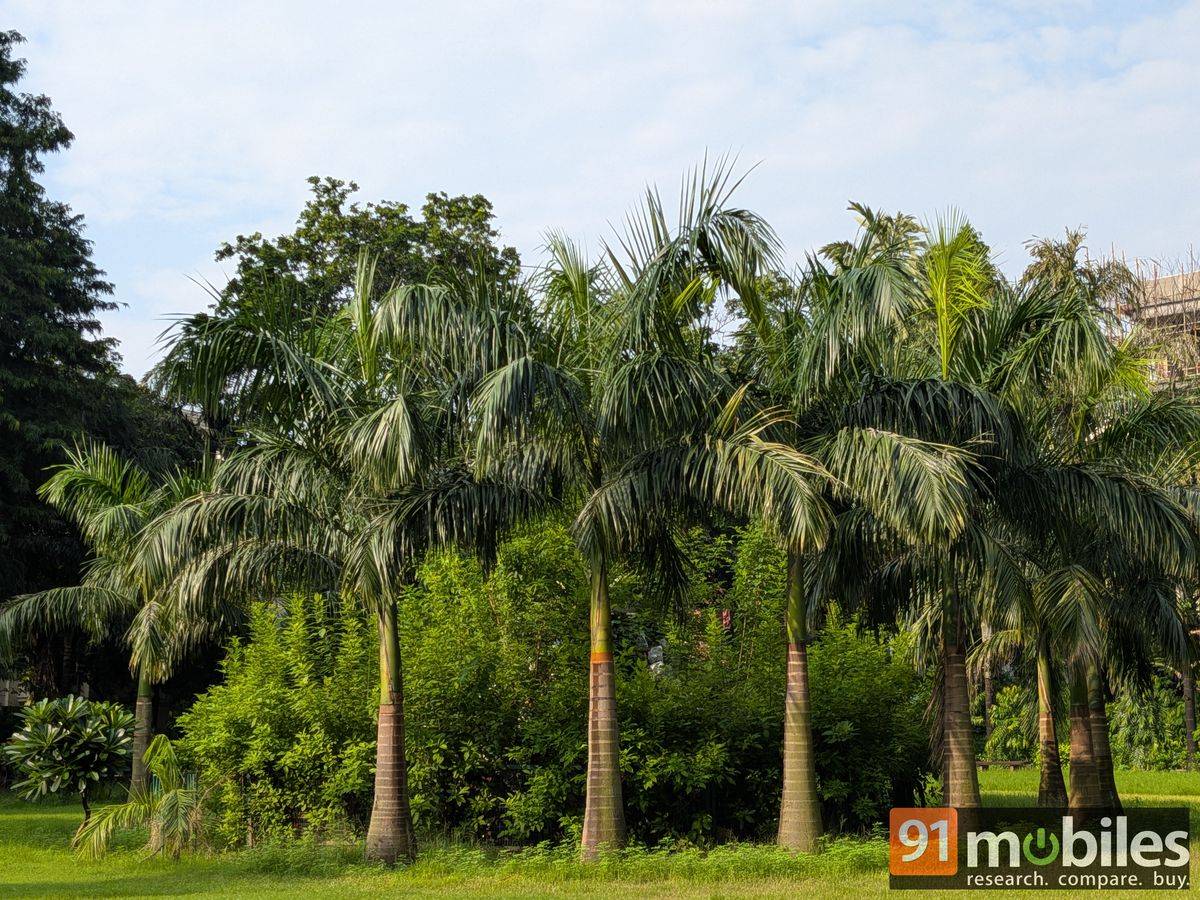 Best camera phones under Rs 80,000 in 2025: Vivo X300, Google Pixel 10 ...